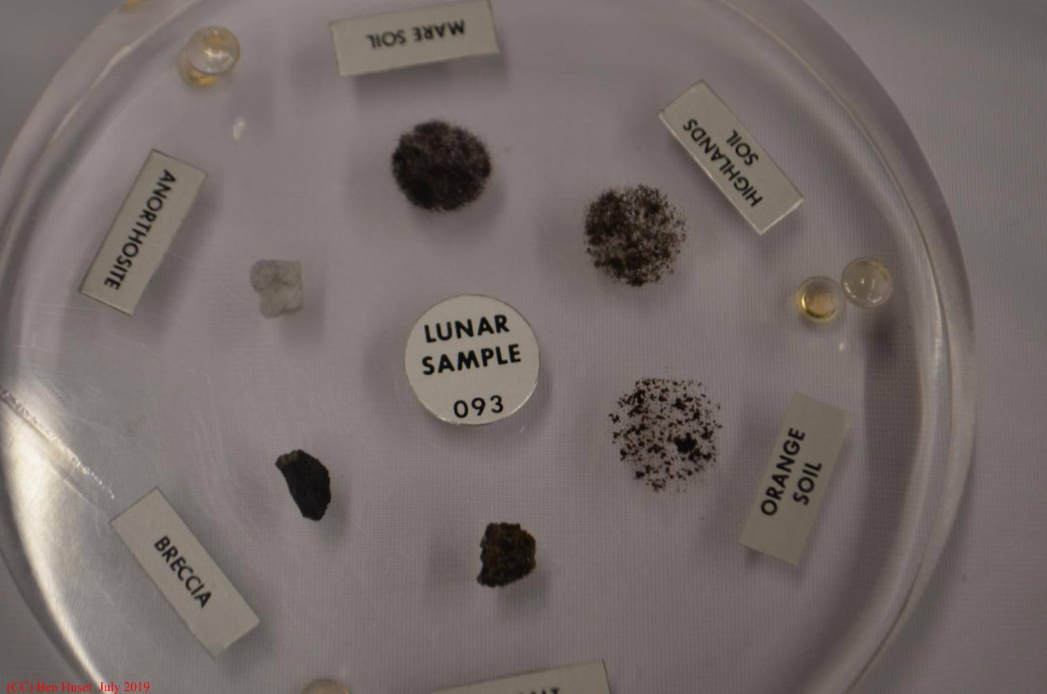 A Night at the Museum – Nancy Atkinson